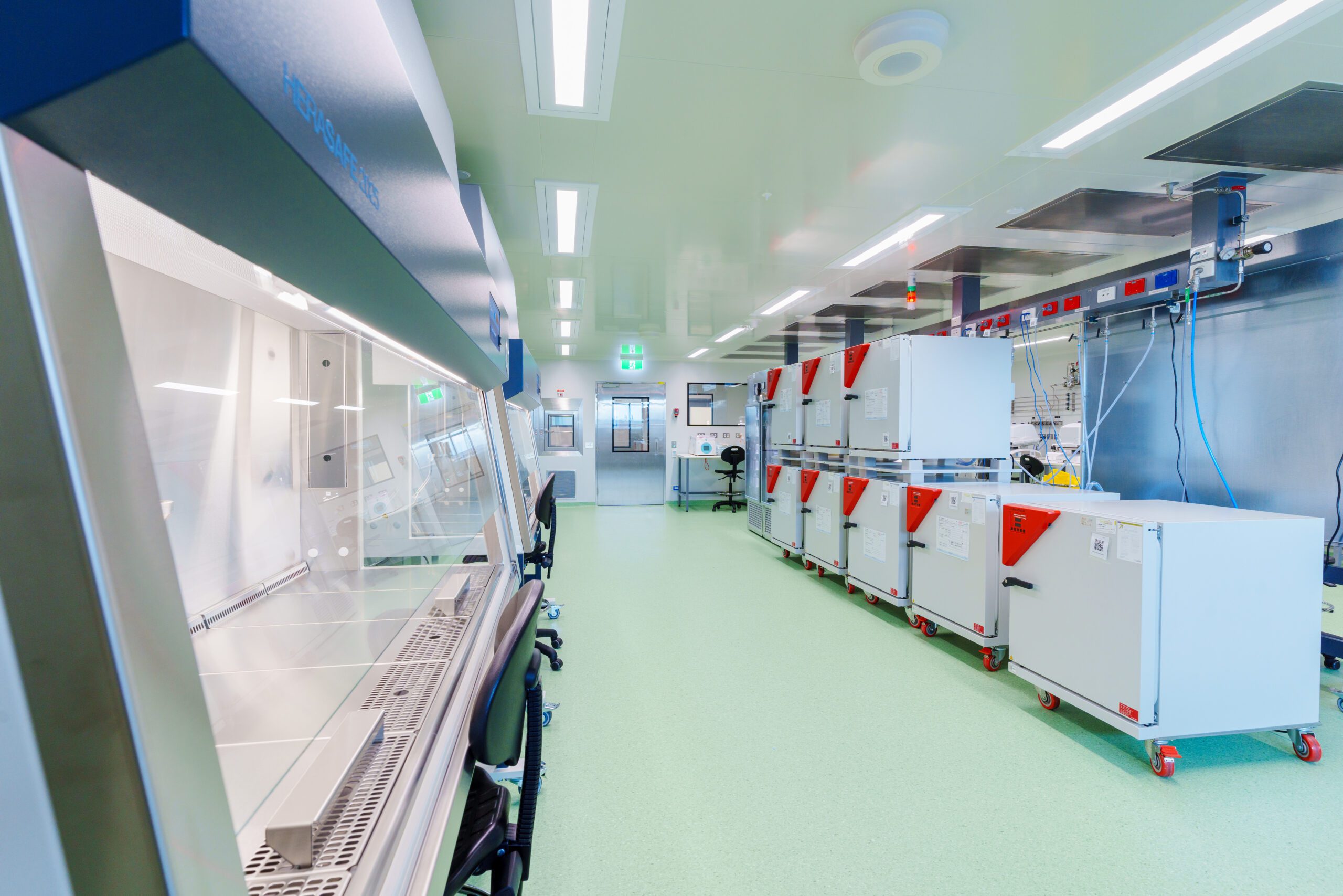 Technology Transfers for CGT products: Understanding what is needed for ...